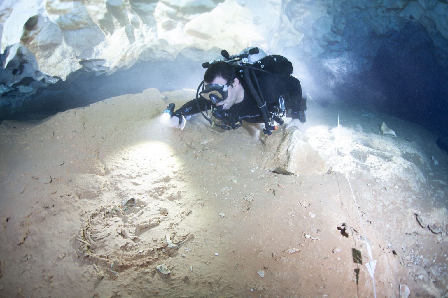 Paleomission: in search of the ancient sloth - the discovery — MNS²