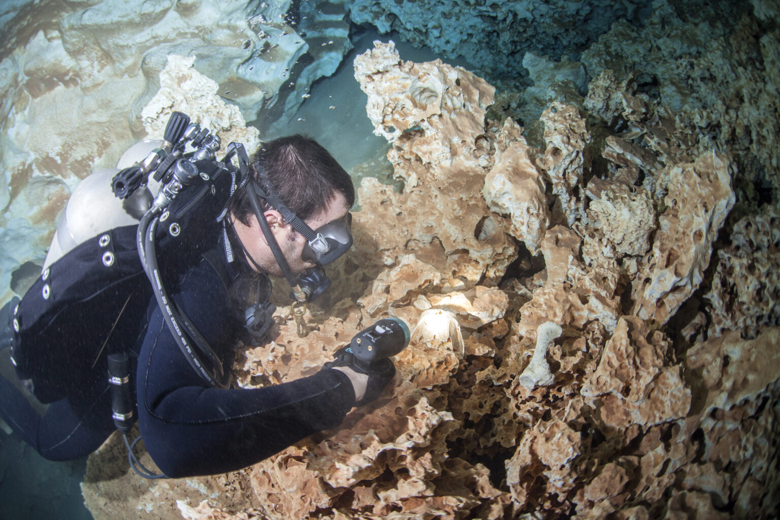 Paleomission: in search of the ancient sloth - the discovery — MNS²